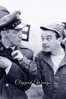 clipped wings 1937