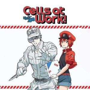 Cells at Work!: Season 2, Episode 1 - Rotten Tomatoes