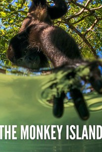 The Monkey Island | Rotten Tomatoes