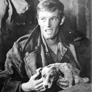 Rotten Tomatoes: Movies | TV Shows | Movie Trailers | Reviews - Rotten ...