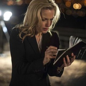 The Fall: Season 3 - Rotten Tomatoes