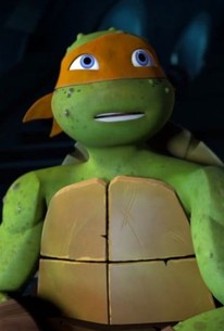 Teenage Mutant Ninja Turtles: Season 2, Episode 5 - Rotten Tomatoes