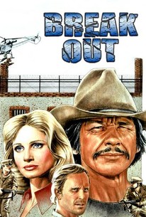 Breakout | Rotten Tomatoes