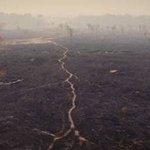 The Magnitude of All Things - Rotten Tomatoes