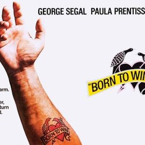 Born to Win - Rotten Tomatoes