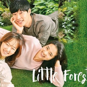 Little Forest - Rotten Tomatoes