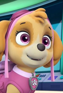 PAW Patrol: Season 2, Episode 20 - Rotten Tomatoes