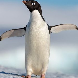 Penguins - Rotten Tomatoes