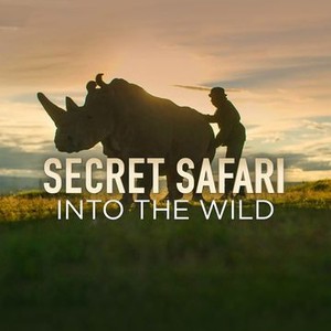 Secret Safari: Into the Wild - Rotten Tomatoes