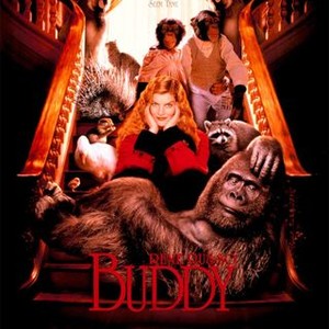 Buddy - Rotten Tomatoes