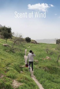 Scent of Wind | Rotten Tomatoes