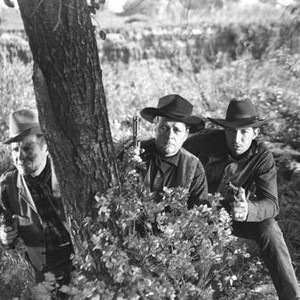 George Chesebro - Rotten Tomatoes