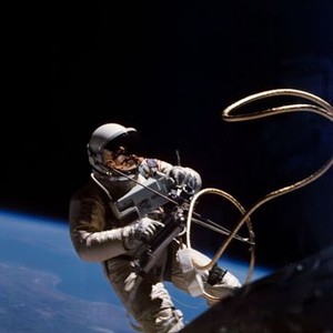 Chasing The Moon - Rotten Tomatoes