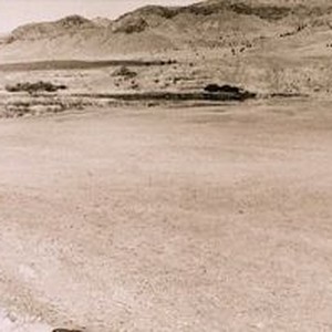 Wild Wild Country - Rotten Tomatoes