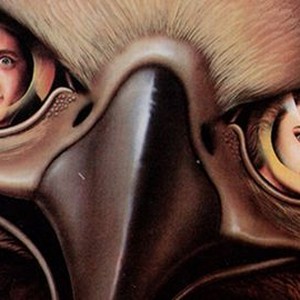 Beaks - Rotten Tomatoes