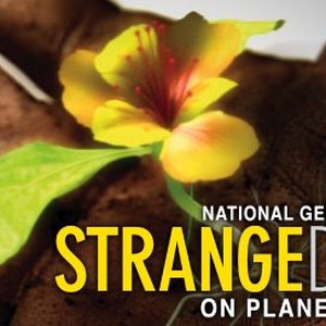 National Geographic's Strange Days on Planet Earth - Rotten Tomatoes
