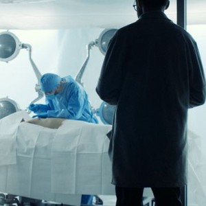 The Amaranth - Rotten Tomatoes