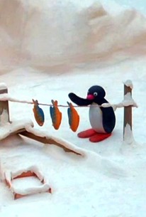Pingu: Season 3, Episode 8 - Rotten Tomatoes