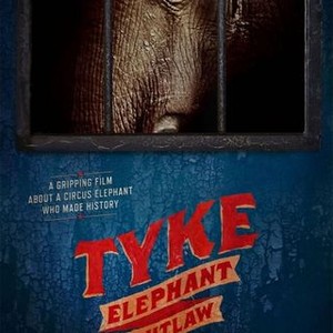 Tyke Elephant Outlaw - Rotten Tomatoes