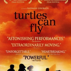 Turtles Can Fly - Rotten Tomatoes