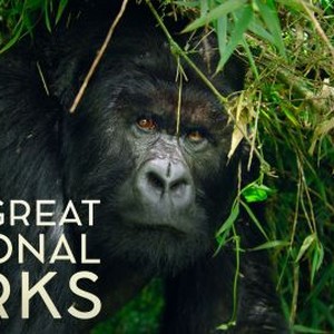 Our Great National Parks: Limited Series, Episode 5 - Rotten Tomatoes