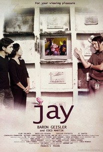 Jay | Rotten Tomatoes