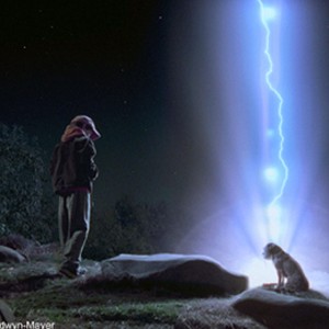 Good Boy! (2003) - Rotten Tomatoes