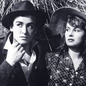 Bitter Rice - Rotten Tomatoes