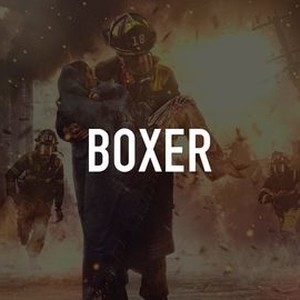Boxer - Rotten Tomatoes
