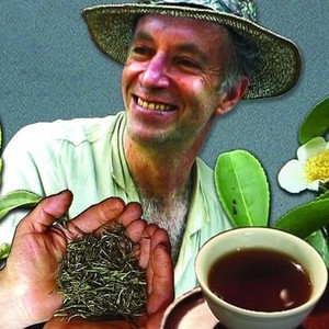 All in This Tea - Rotten Tomatoes