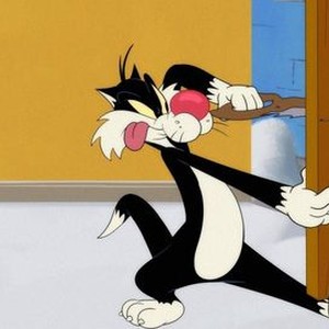 Looney Tunes Cartoons: Season 5, Episode 8 - Rotten Tomatoes