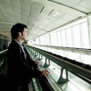 My Tree - Rotten Tomatoes