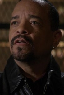 Law & Order: Special Victims Unit: Season 11, Episode 10 | Rotten Tomatoes