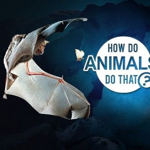 How Do Animals Do That? - Rotten Tomatoes