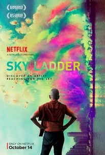 Sky Ladder: The Art of Cai Guo-Qiang (2016) | Rotten Tomatoes