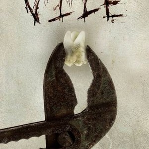 Vile - Rotten Tomatoes