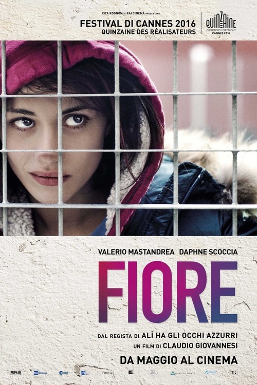 Fiore Pictures | Rotten Tomatoes