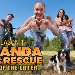 Amanda to the Rescue: Picks of the Litter - Rotten Tomatoes