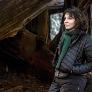 Susanne Bier - Rotten Tomatoes