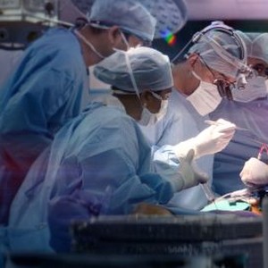 The Surgeon's Cut - Rotten Tomatoes