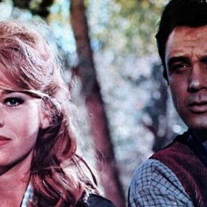 Cat Ballou - Rotten Tomatoes