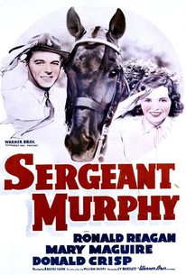 Sergeant Murphy | Rotten Tomatoes