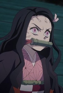Demon Slayer: Kimetsu no Yaiba: Season 1, Episode 10 | Rotten Tomatoes
