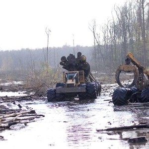 Swamp Loggers: Season 3, Episode 13 - Rotten Tomatoes