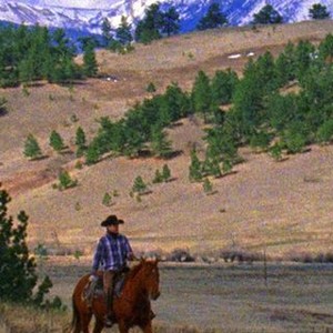 Fishtail - Rotten Tomatoes