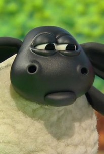 Timmy Time: Season 1, Episode 1 - Rotten Tomatoes