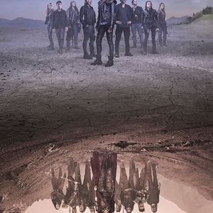 The 100 - Rotten Tomatoes