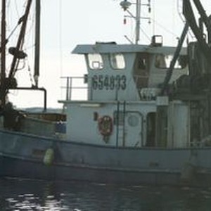 Fairhaven - Rotten Tomatoes