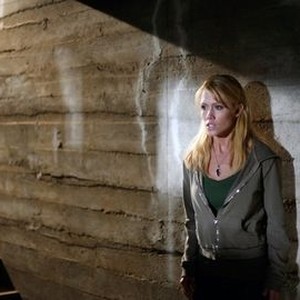 Stem Cell - Rotten Tomatoes