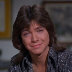 The Partridge Family: Season 2, Episode 21 - Rotten Tomatoes